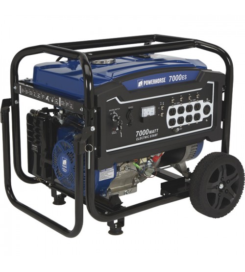 Powerhorse Portable Generator 7000 Surge Watts, 5500 Rated Watts ...
